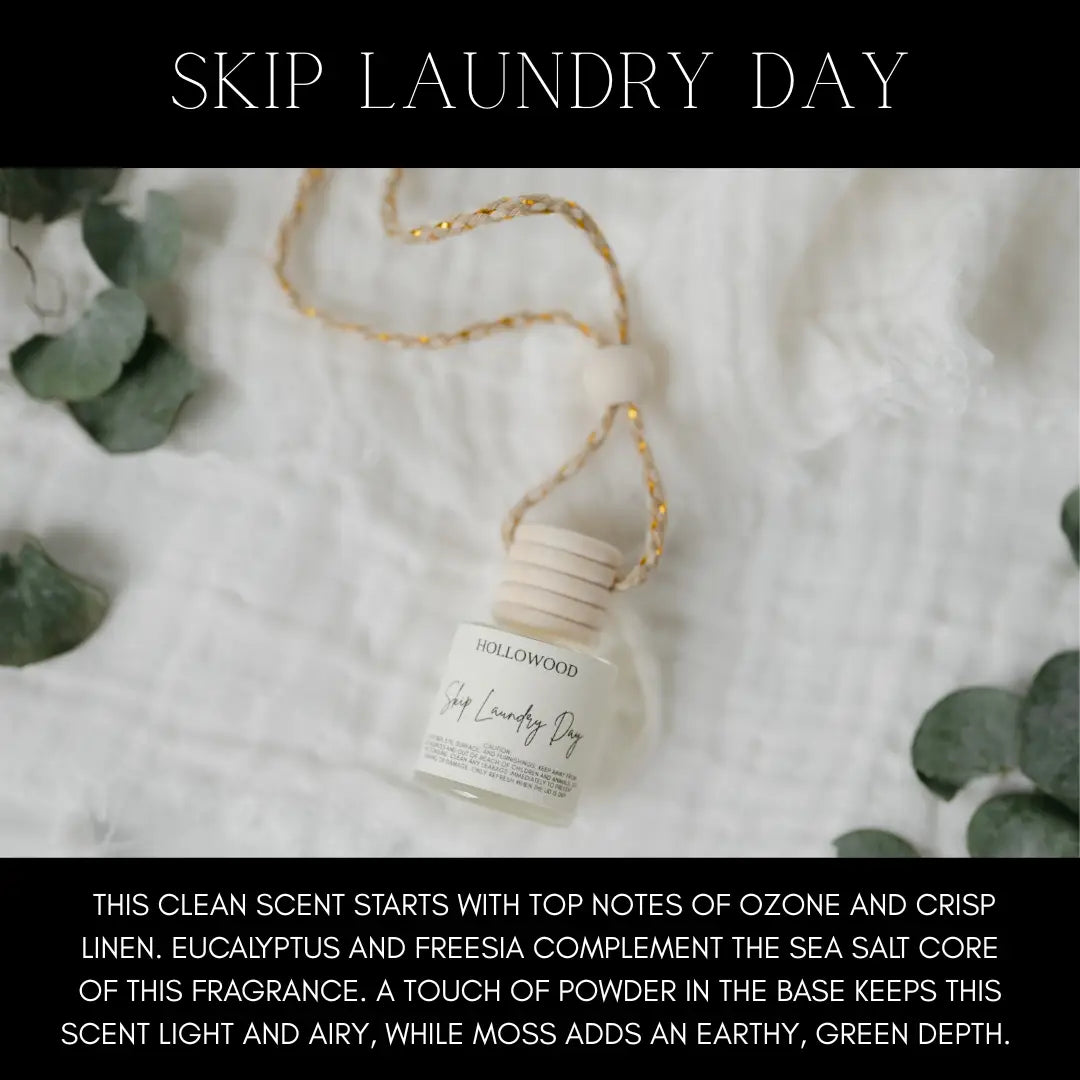 Skip Laundry Day Car Diffuser – Durbin Farms Market
